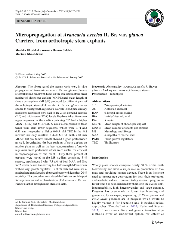 (PDF) Micropropagation of Araucaria excelsa R. Br. var. glauca Carrière ...