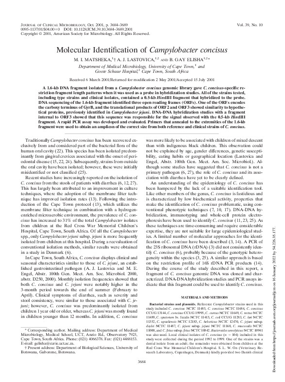 (PDF) Molecular Identification of Campylobacter concisus