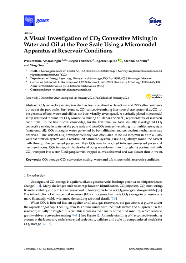 (PDF) A Visual Investigation of CO2 Convective Mixing in Water and Oil ...