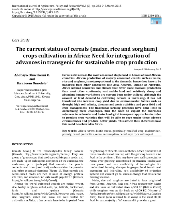 (PDF) The current status of cereal (maize, rice and sorghum) crops cultivation in Africa: need ...