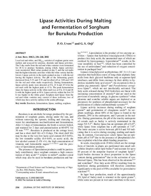 (PDF) Lipase Activities During Malting and Fermentation of Sorghum for ...