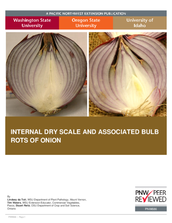 (PDF) Internal dry scale and associated bulb rots of onion