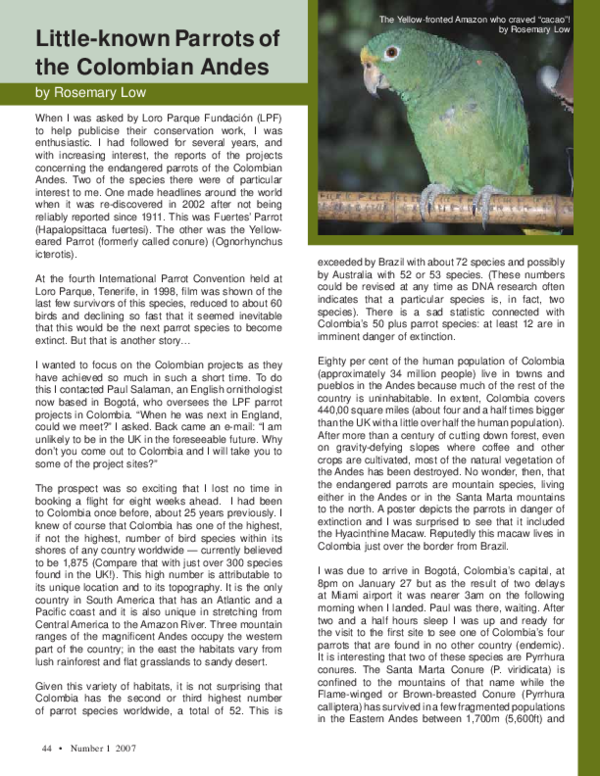 (PDF) Little-known Parrots of the Colombian Andes