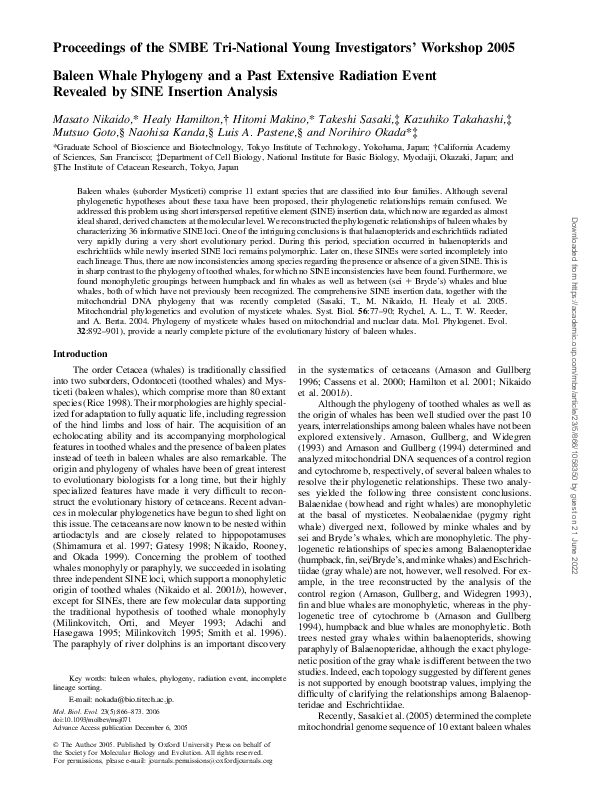 (PDF) Baleen Whale Phylogeny and a Past Extensive Radiation Event ...