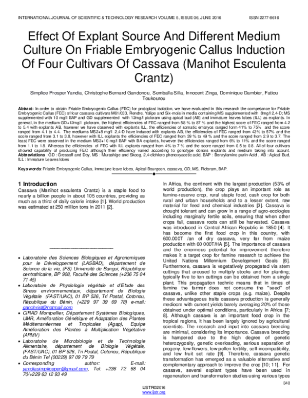 (PDF) Effect Of Explant Source And Different Medium Culture On Friable ...