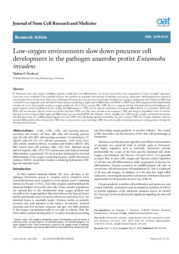 Low-oxygen environments slow down precursor cell development in the ...