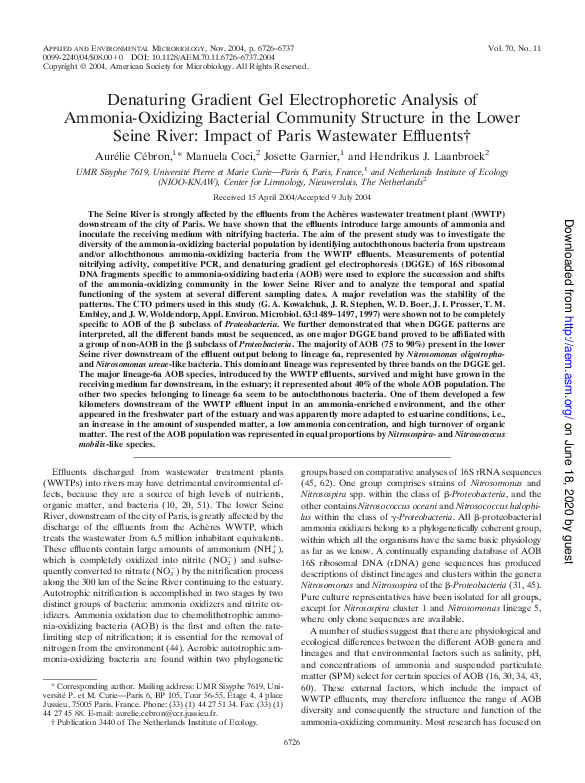(PDF) Denaturing Gradient Gel Electrophoretic Analysis of Ammonia ...