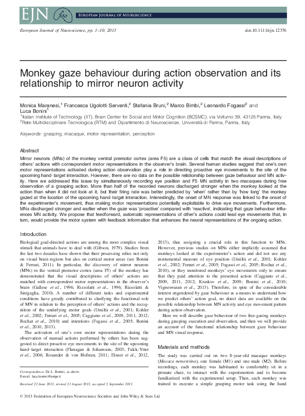 (PDF) Monkey gaze behaviour during action observation and its ...