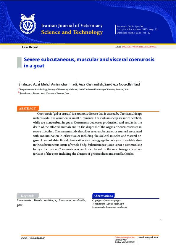 (PDF) Severe subcutaneous, muscular and visceral coenurosis in a goat