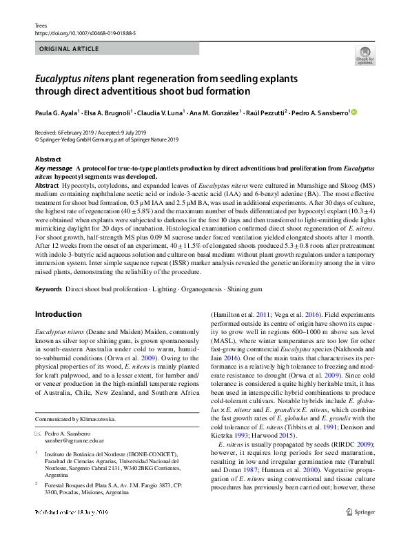 (PDF) Eucalyptus nitens plant regeneration from seedling explants ...