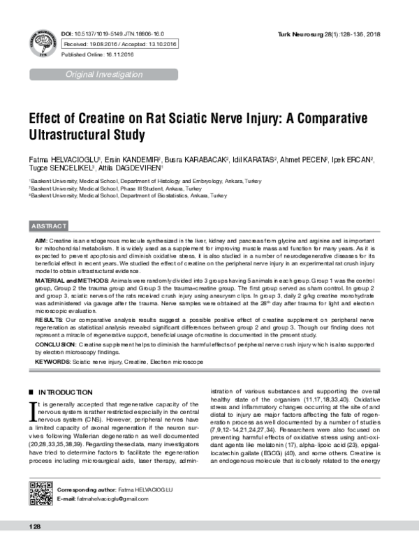 (PDF) Effect of creatine on rat sciatic nerve injury: a comparative ...