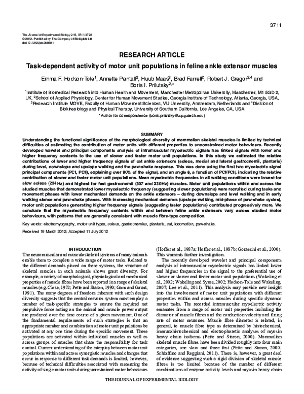 (PDF) RESEARCH ARTICLE Task-dependent activity of motor unit populations in feline ankle ...