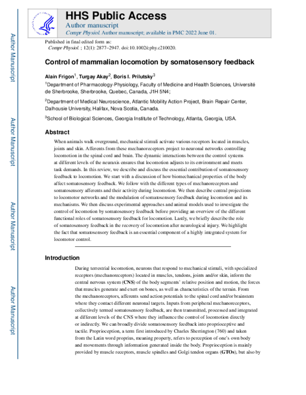 (PDF) Control of Mammalian Locomotion by Somatosensory Feedback