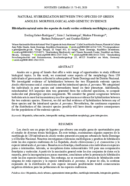 (PDF) Natural hybridization between two species of green Anoles ...
