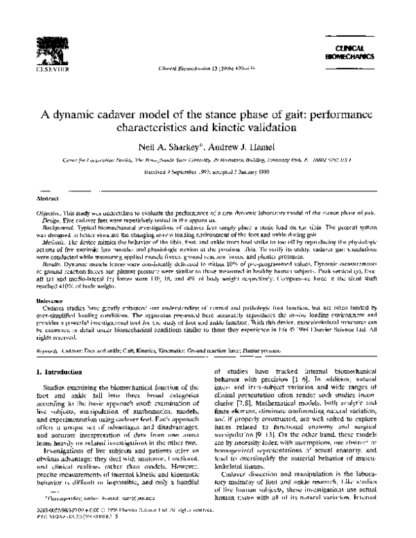 (PDF) A dynamic cadaver model of the stance phase of gait: performance characteristics and ...