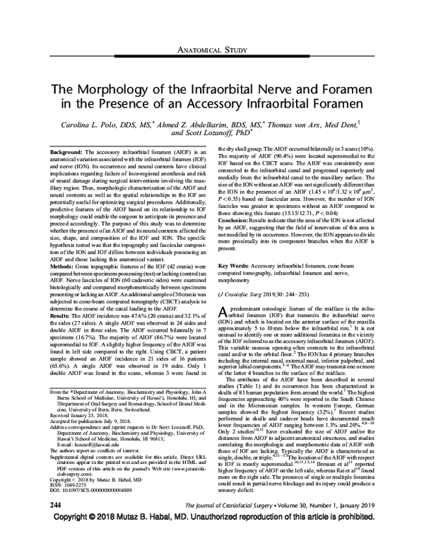 (PDF) The Morphology of the Infraorbital Nerve and Foramen in the ...