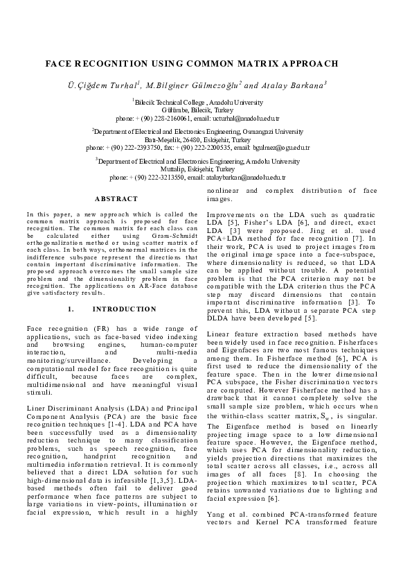 (PDF) Face Recognition Using Common Matrix Approach