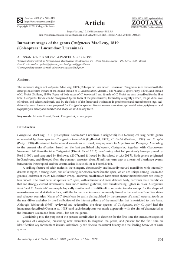 (PDF) Immature stages of the genus Casignetus MacLeay, 1819 (Coleoptera: Lucanidae: Lucaninae)