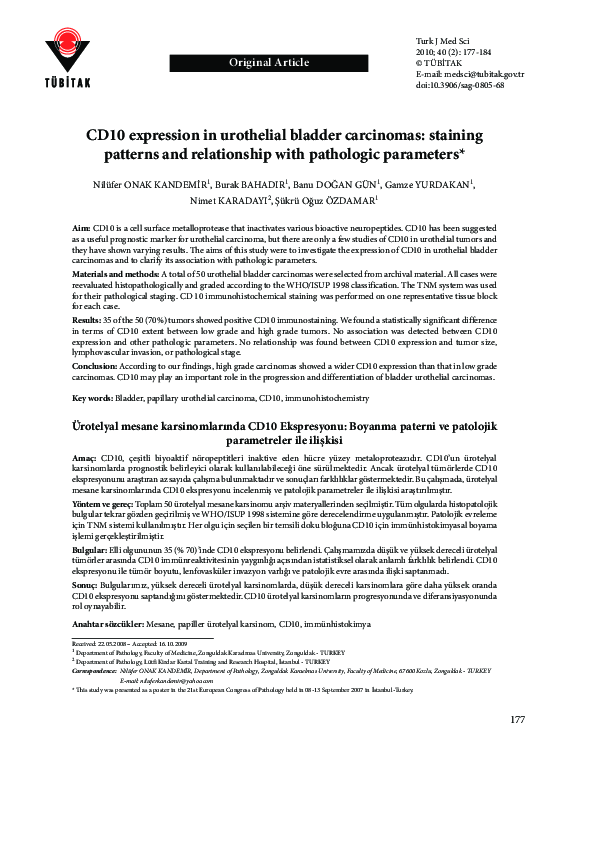 (PDF) CD10 expression in urothelial bladder carcinomas: staining patterns and relationship with ...
