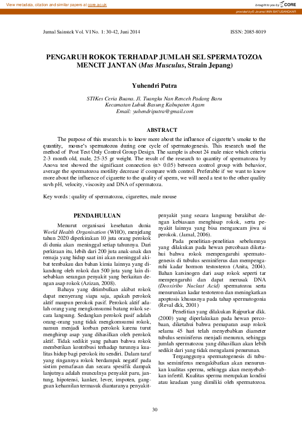 (PDF) PENGARUH ROKOK TERHADAP JUMLAH SEL SPERMATOZOA MENCIT JANTAN (Mus ...