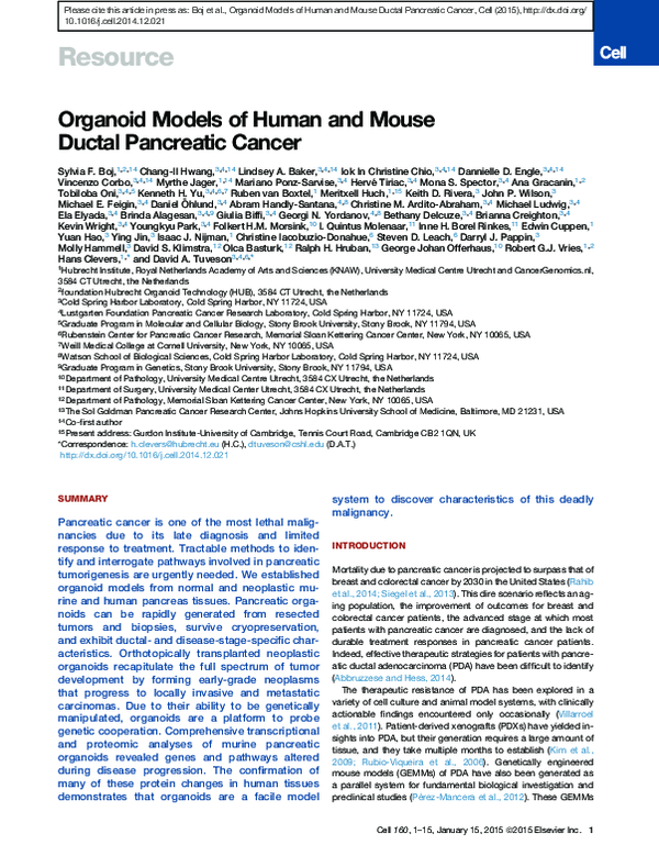 Organoid Models of Human and Mouse Ductal Pancreatic Cancer