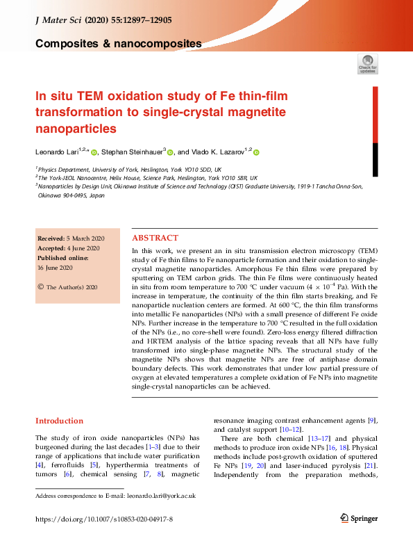 (PDF) In situ TEM oxidation study of Fe thin-film transformation to single-crystal magnetite ...
