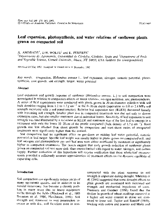 (PDF) Leaf expansion, photosynthesis, and water relations of sunflower ...