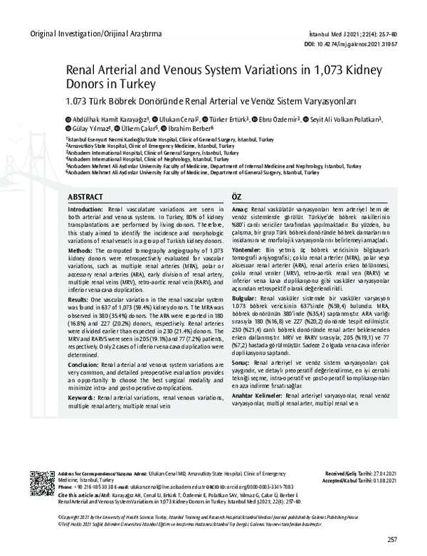 (PDF) Renal Arterial and Venous System Variations in 1,073 Kidney ...