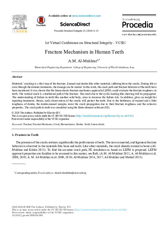 (PDF) Fracture Mechanism in Human Teeth
