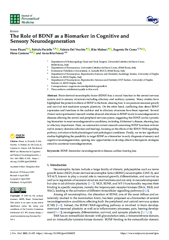 (PDF) The Role of BDNF as a Biomarker in Cognitive and Sensory ...