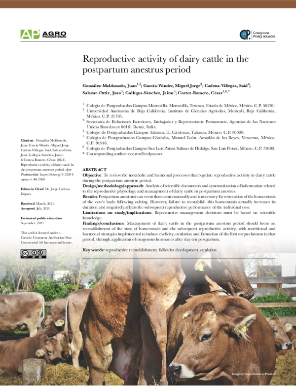 (PDF) Reproductive activity of dairy cattle in the postpartum anestrus ...