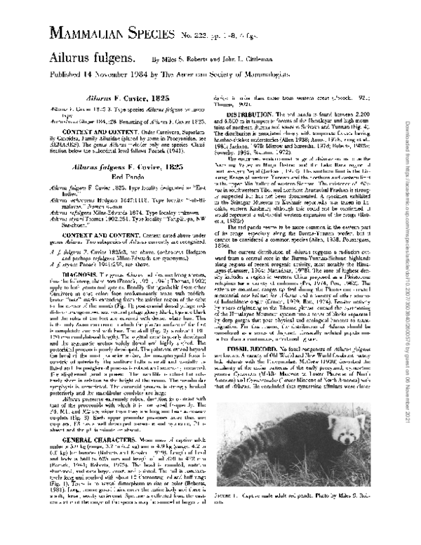 (PDF) Ailurus fulgens