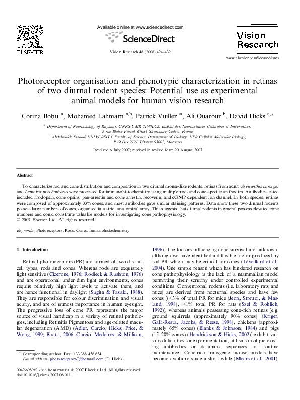 (PDF) Photoreceptor organisation and phenotypic characterization in ...