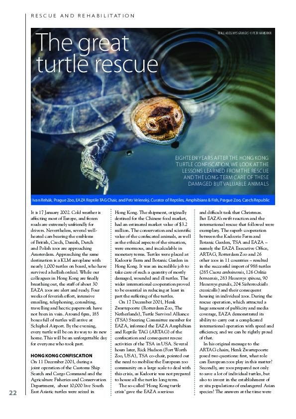 (PDF) The great turtle rescue