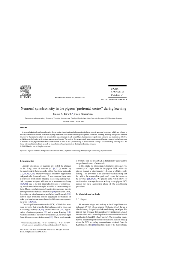 (PDF) Neuronal synchronicity in the pigeon “prefrontal cortex” during learning