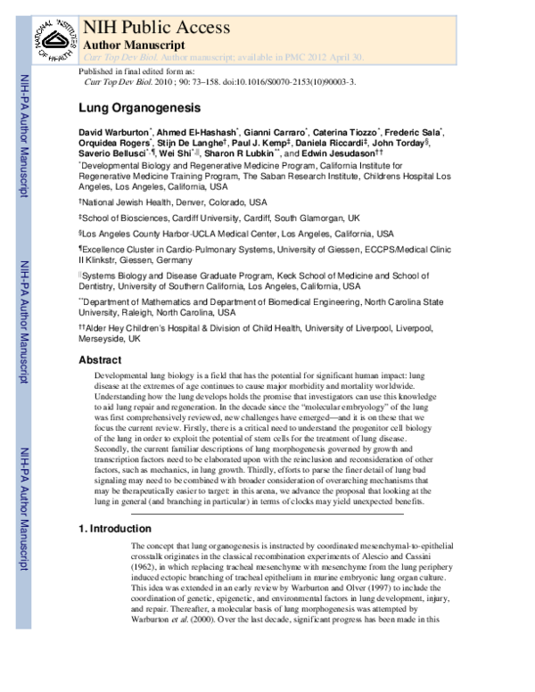 (PDF) Lung Organogenesis