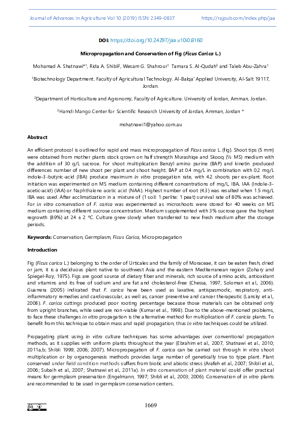 (PDF) Micropropagation and Conservation of Fig (Ficus Carica L.)
