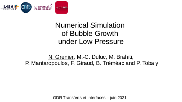 (PDF) Numerical Simulation of Bubble Growth under Low Pressure