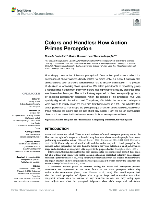 (PDF) Colors and Handles: How Action Primes Perception