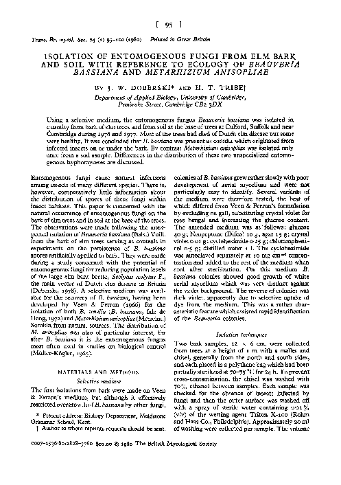 (PDF) Isolation of entomogenous fungi from elm bark and soil with reference to ecology of ...