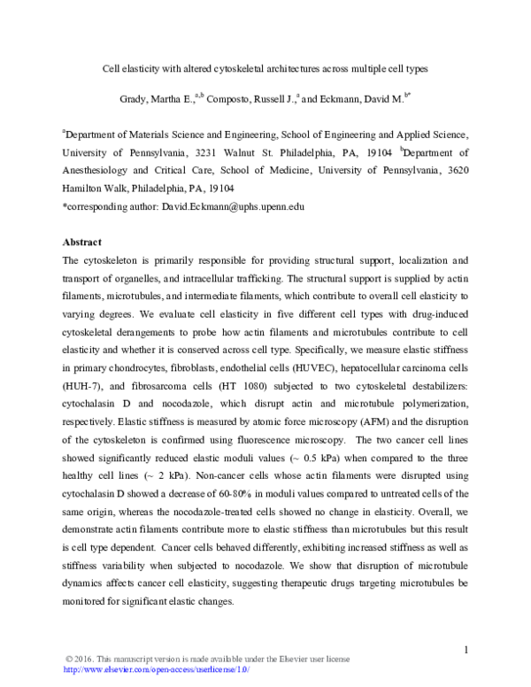 (PDF) Cell elasticity with altered cytoskeletal architectures across ...