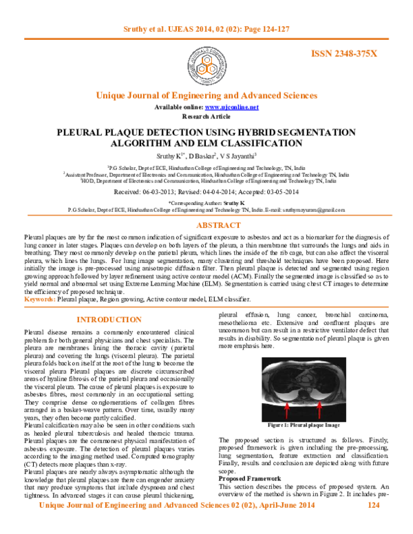 Pdf Pleural Plaque Detection Using Hybrid Segmentation Algorithm And