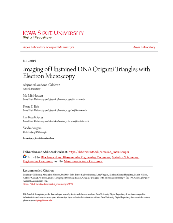 (PDF) Imaging of Unstained DNA Origami Triangles with Electron Microscopy