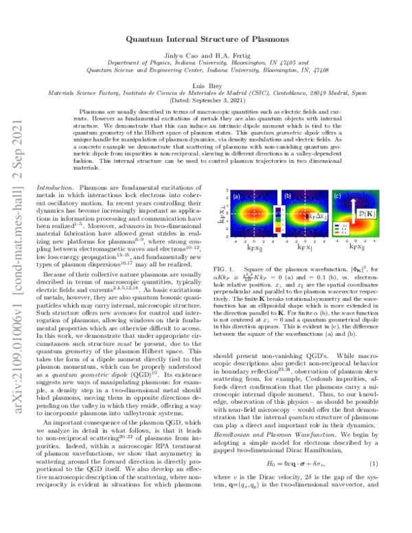 (PDF) Quantum Internal Structure of Plasmons | Luis Brey - Academia.edu