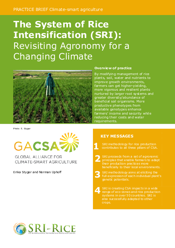(PDF) The System of Rice Intensification (SRI): Revisiting Agronomy for a Changing Climate