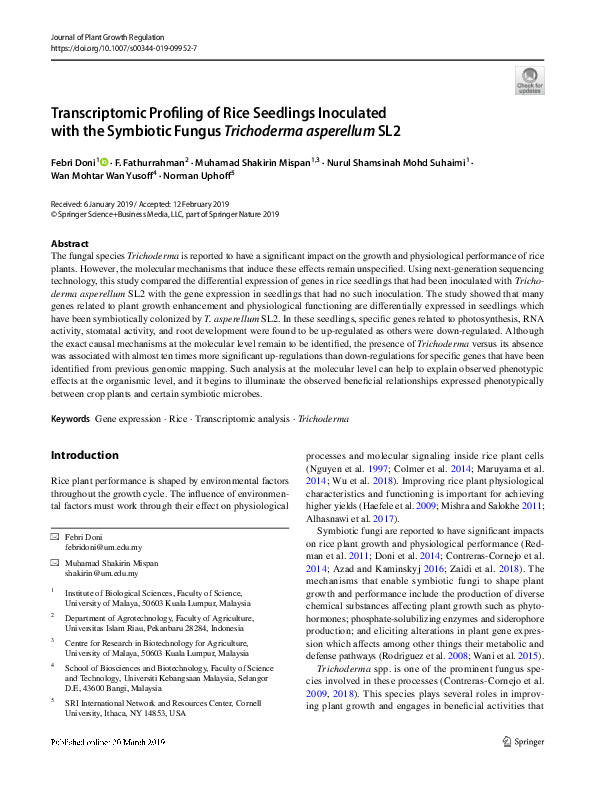 (PDF) Transcriptomic Profiling of Rice Seedlings Inoculated with the Symbiotic Fungus ...