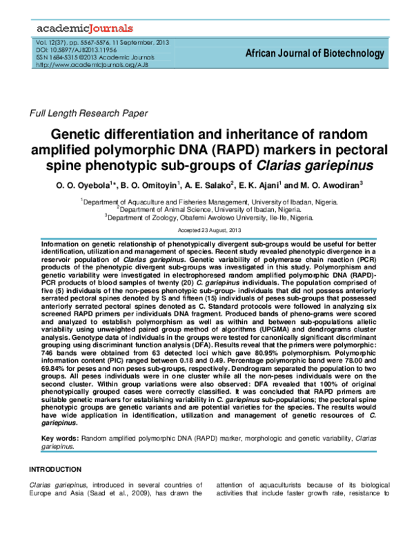 (PDF) Genetic differentiation and inheritance of random amplified ...