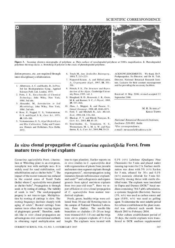 (PDF) In vitro clonal propagation of Casuarina equisetifolia Forst ...