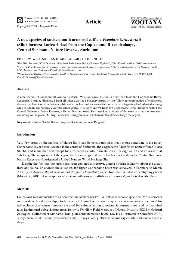 (PDF) A new species of suckermouth armored catfish, Pseudancistrus ...