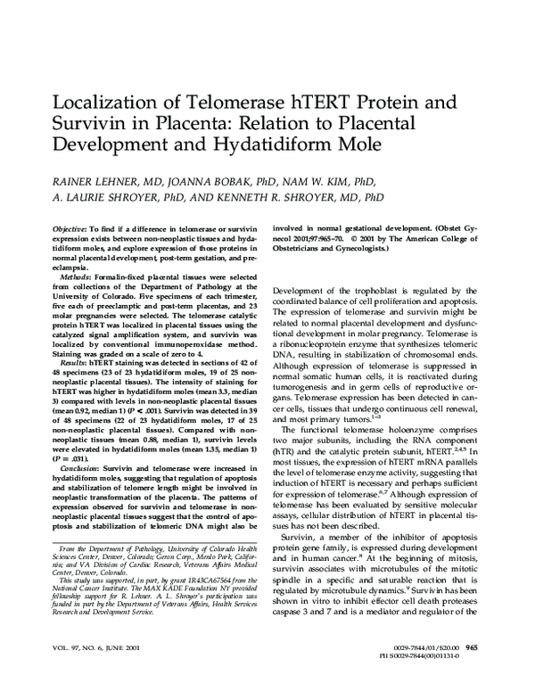 (PDF) Localization of Telomerase hTERT Protein and Survivin in Placenta ...